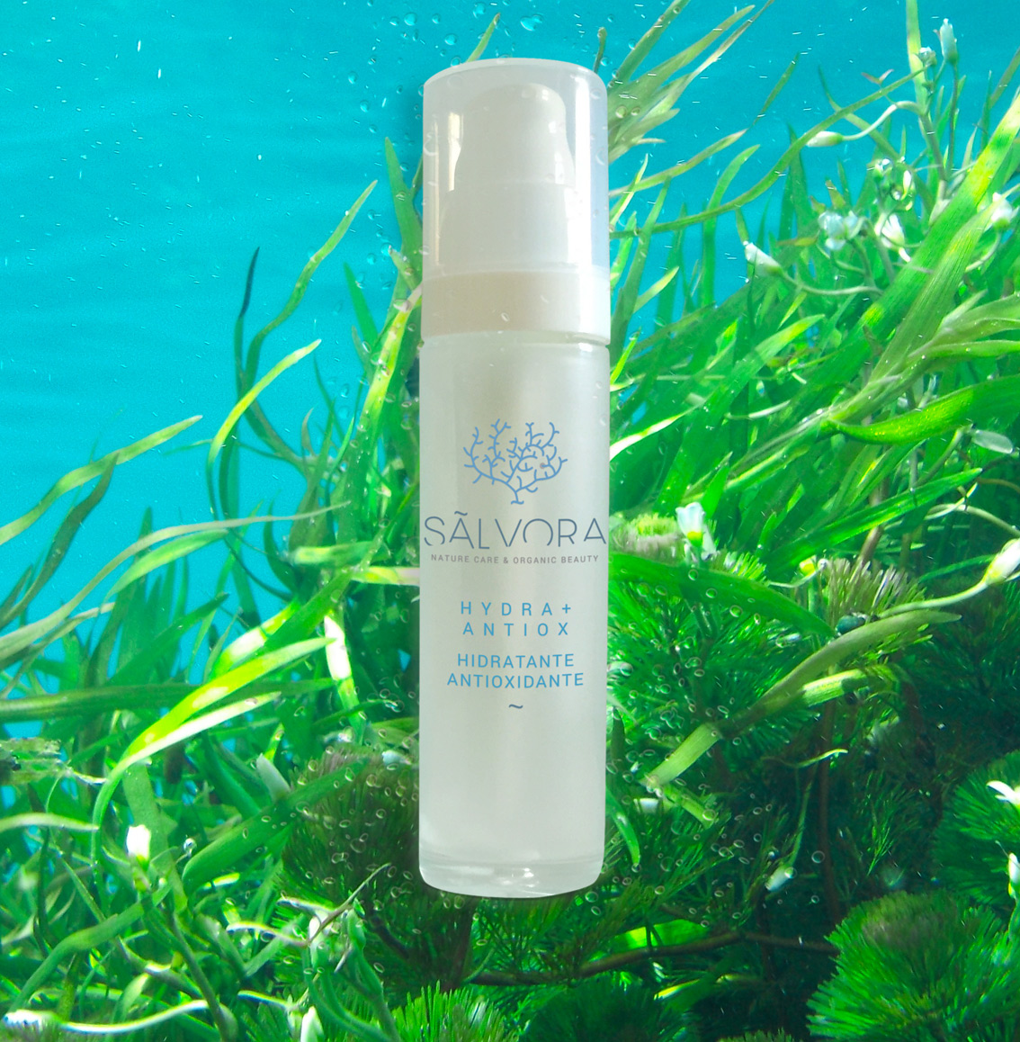 Crowdfunding - SÁLVORA sea conscious beauty - Universidad - Lanzanos